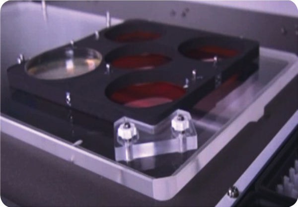 Adjustable petri dish and microplate holders – Molecular Devices Online ...